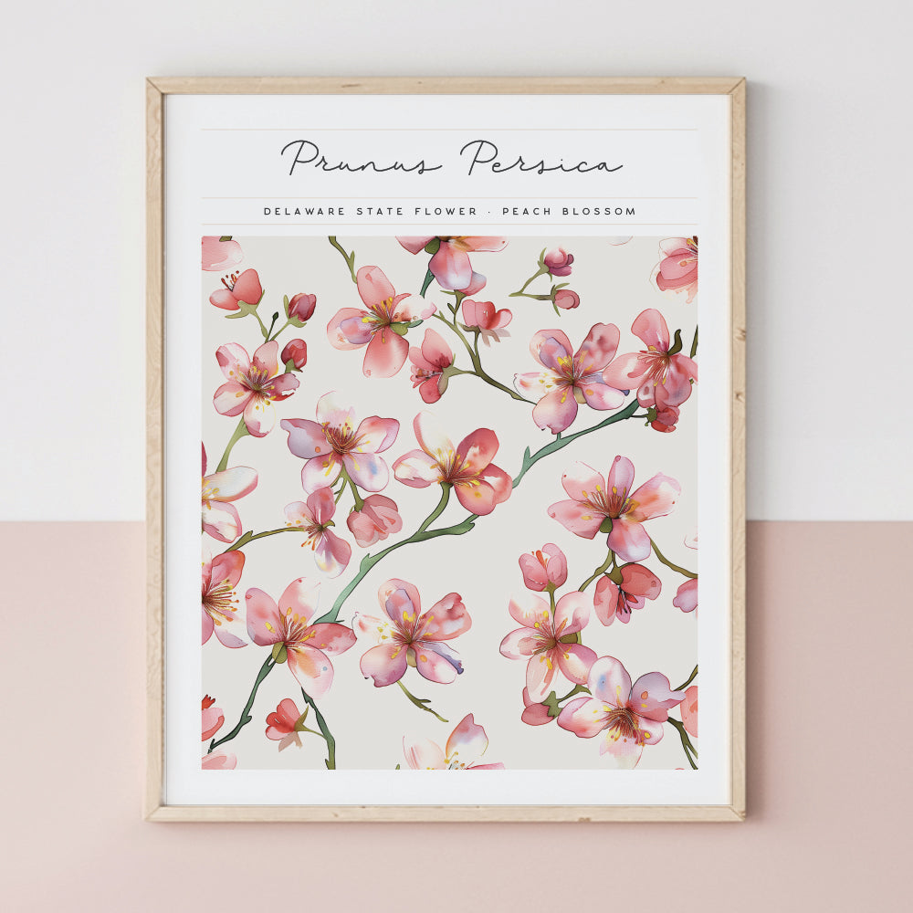 Delaware State Flower Art | Backstory Map Co.
