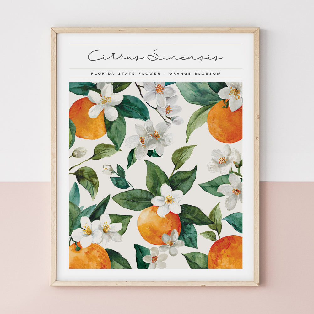 Florida State Flower Art | Backstory Map Co.